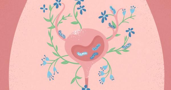 Cystite : on en sait un peu plus sur cette infection | MMJ