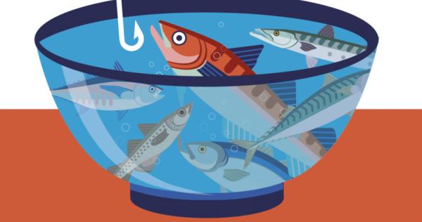 Poisson : comment le consommer de façon responsable