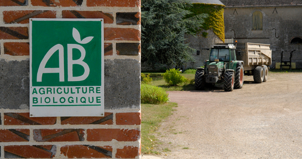 LES LABELS BIO PROTÈGENT-ILS VRAIMENT LA SANTÉ ET L’ENVIRONNEMENT ? | MMJ